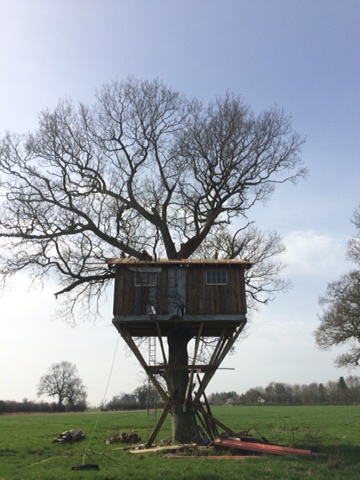 M&P — Civil and Structural Engineers | Tree House Project